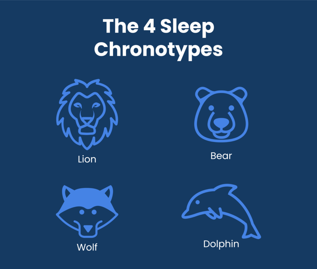 What is My Chronotype? (Chronotypes Defined) | Sleep.ai