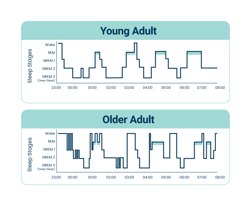 The Power of Sleep and Its Impact on Our Longevity | Sleep.ai